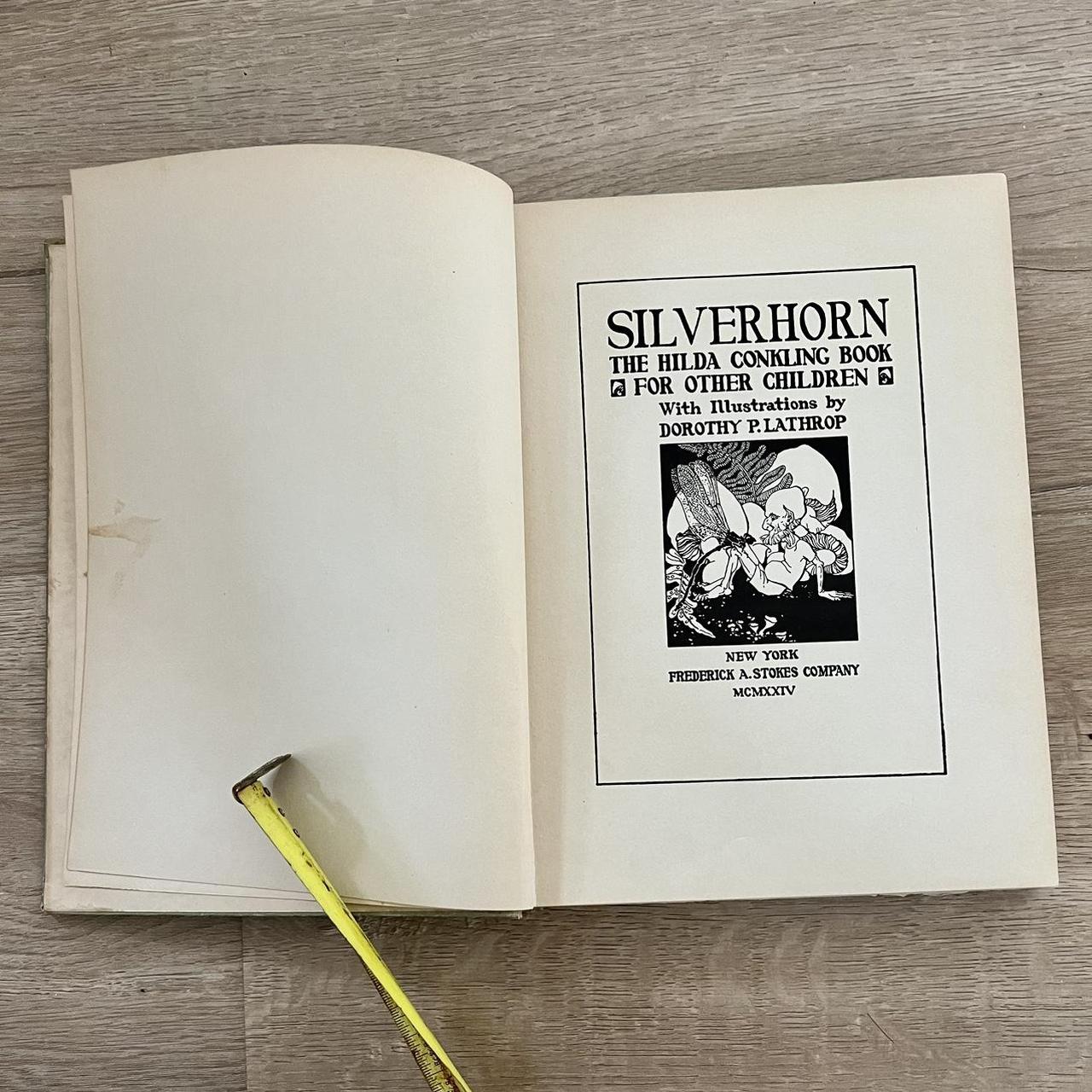 RARE Antique Book 1924 “Silverhorn” The Hilda... - Depop
