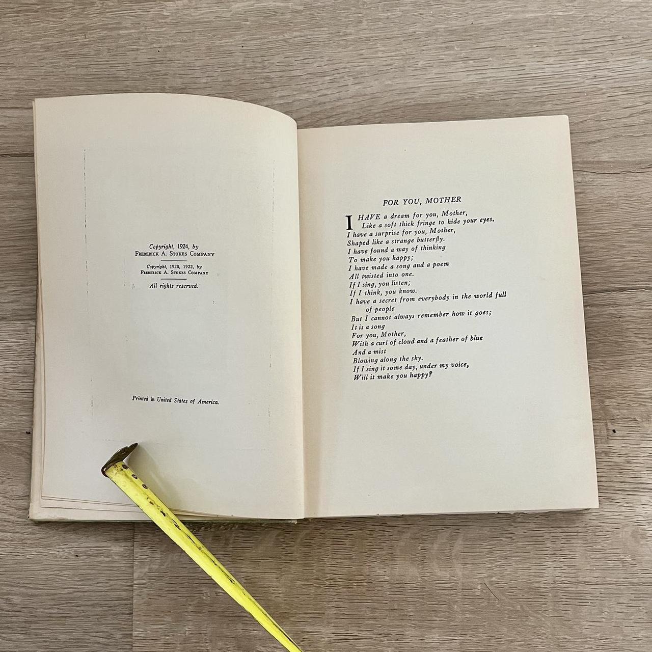 RARE Antique Book 1924 “Silverhorn” The Hilda... - Depop