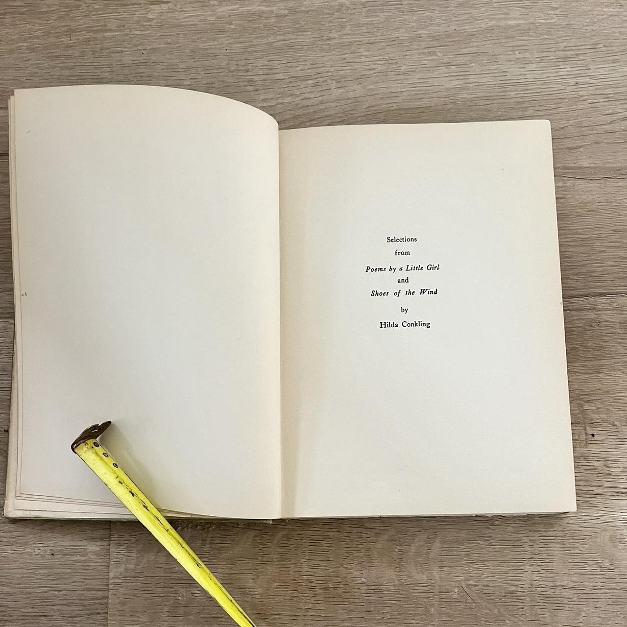 RARE Antique Book 1924 “Silverhorn” The Hilda... - Depop