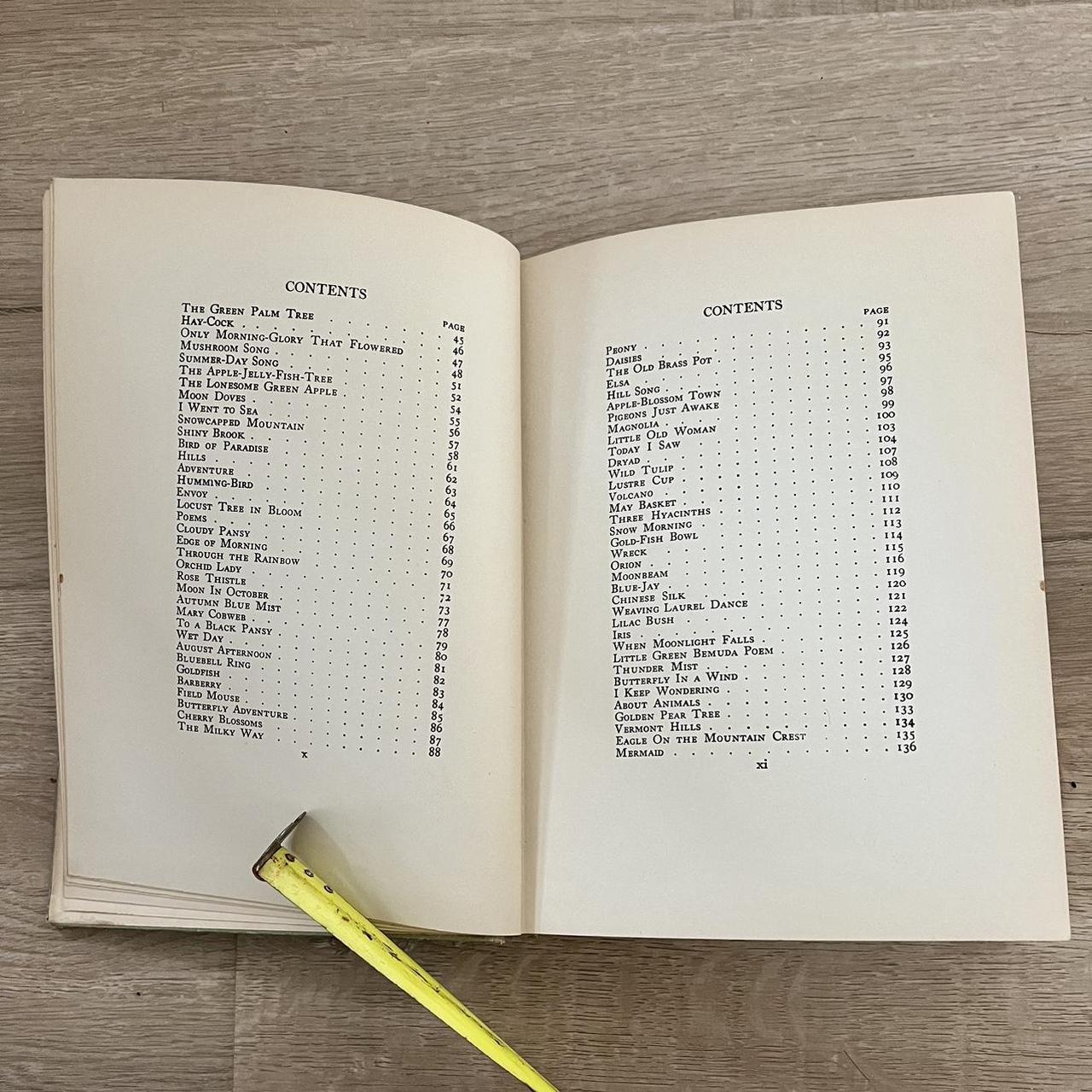 RARE Antique Book 1924 “Silverhorn” The Hilda... - Depop