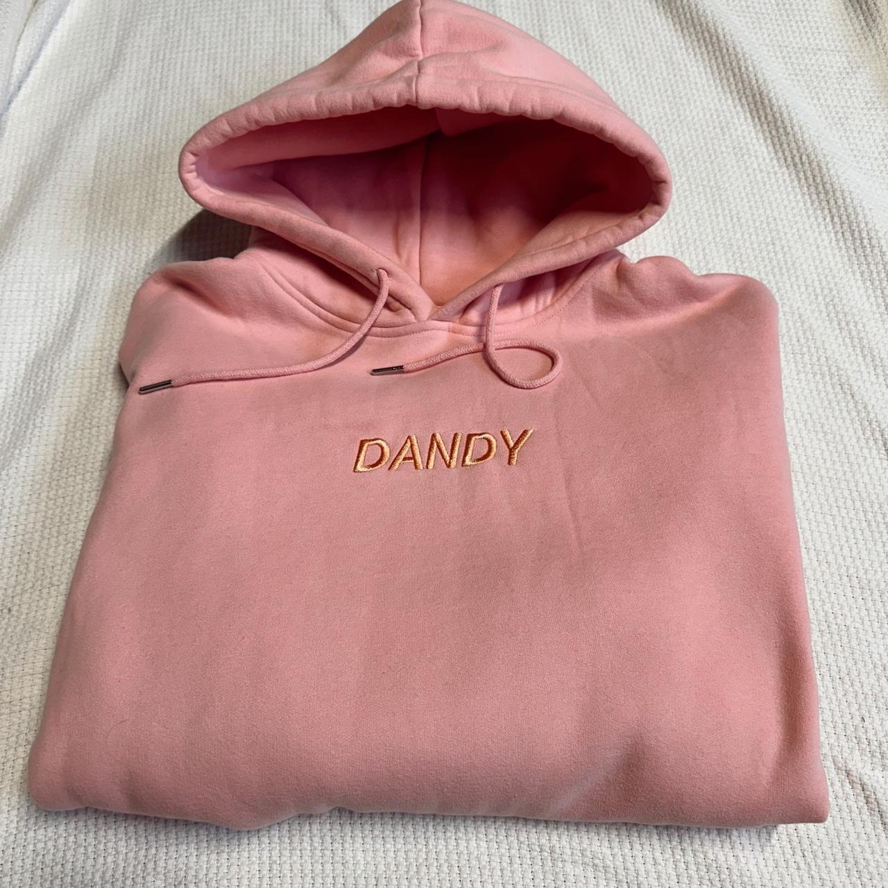 dandy worldwide hoodie no flaws! i think it’s a... - Depop