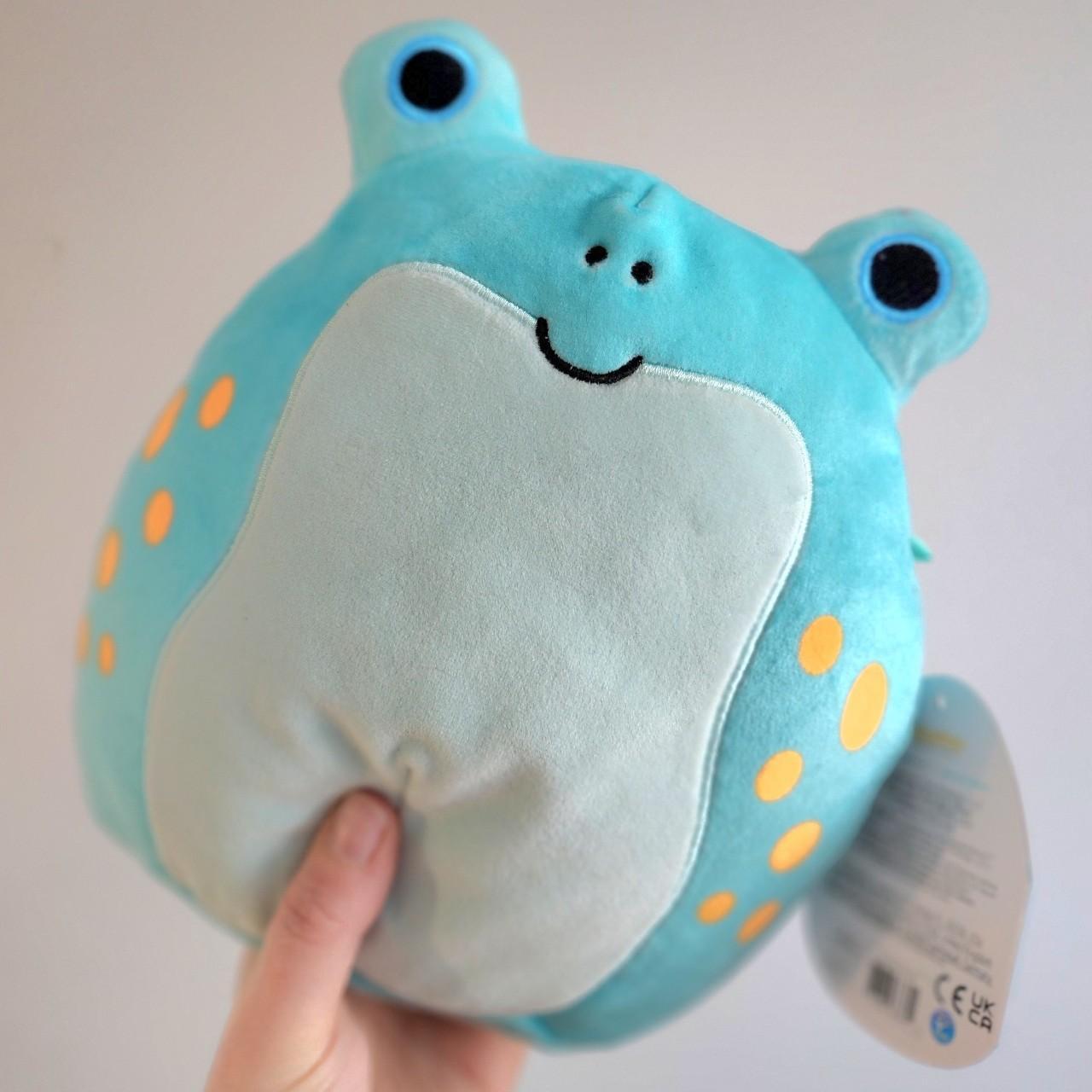 Delaney the Frog Squishmallow 8" BNWT. Features... - Depop