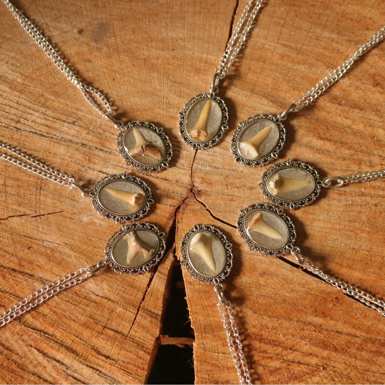 Shark tooth resin cameo necklace Picked at random - Depop