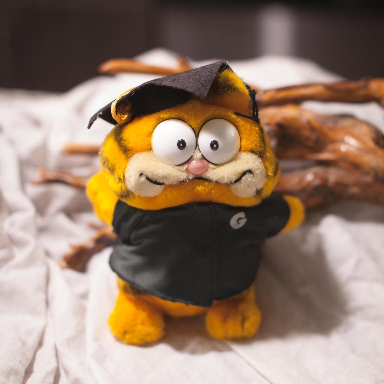 Graduation Garfield . Adorable plushie with a... - Depop