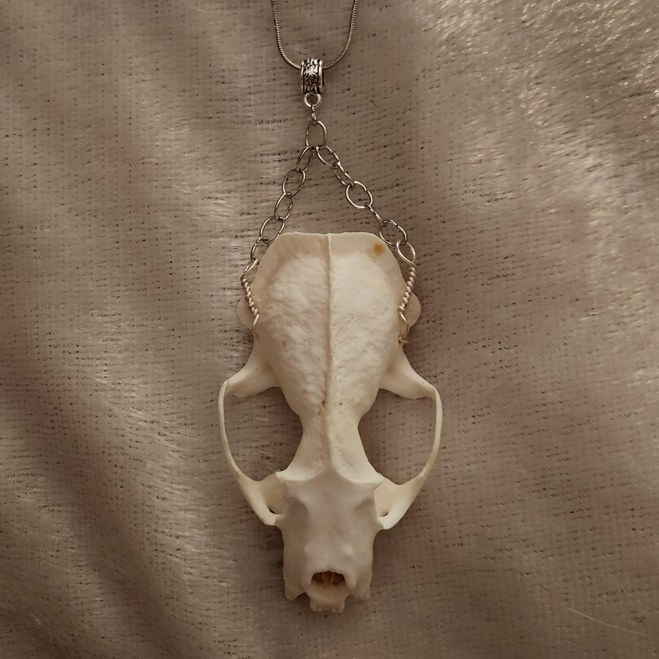 Handmade Hanging Large Mink Skull Top Necklace... - Depop