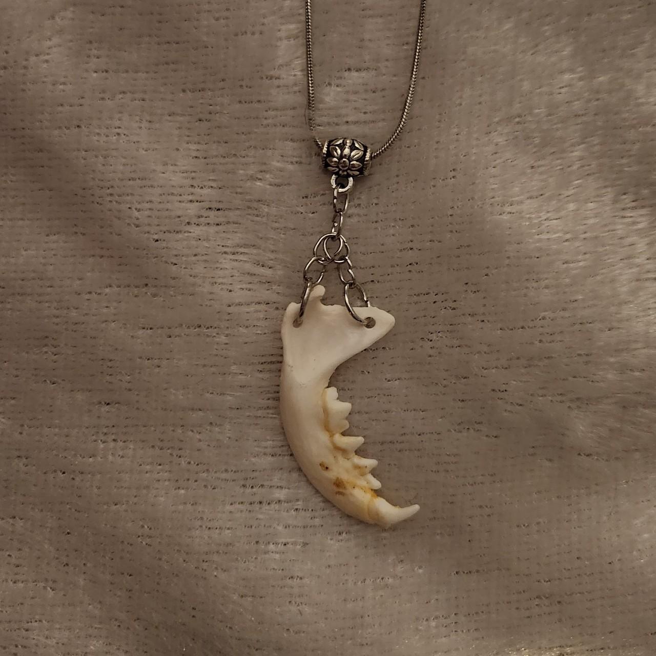 Handmade Hanging Mink Jawbone Necklace Hello! This... - Depop