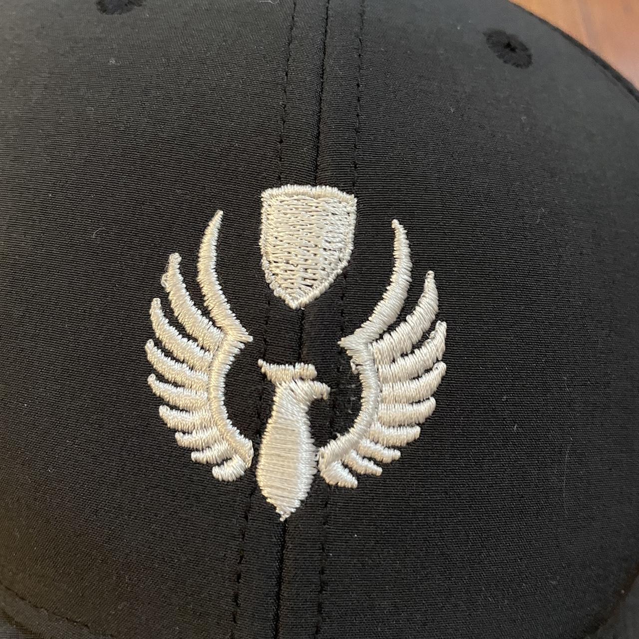 SAE Phoenix Embroidered Nike Golf Hat - new... - Depop