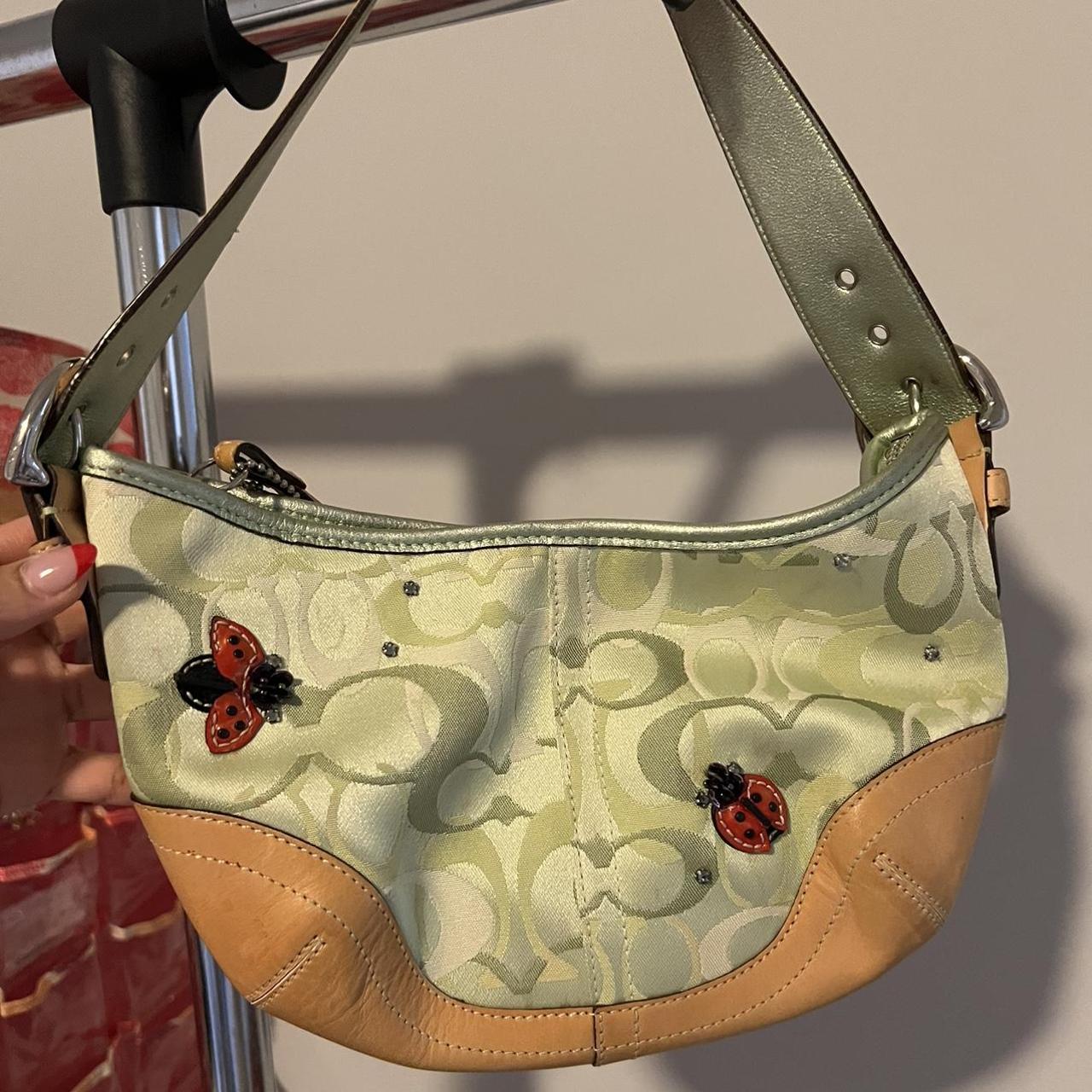Coach ladybug bag - Depop