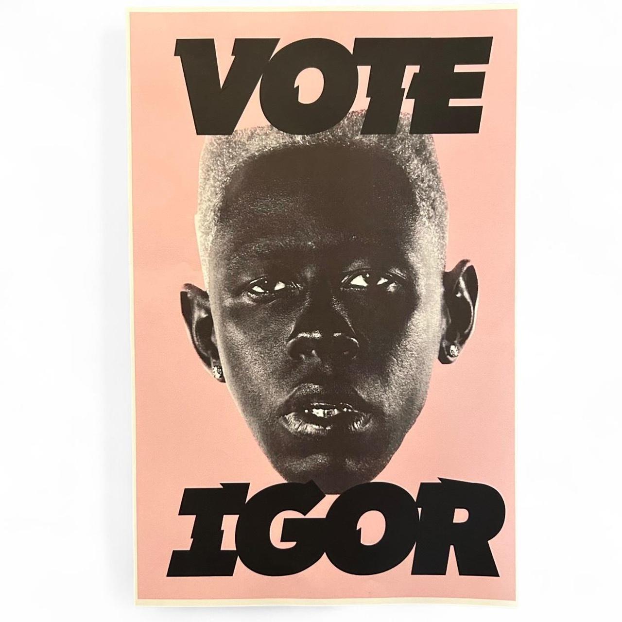 Tyler, The Creator: “VOTE IGOR” Poster 11x17 (FRAME... | Depop
