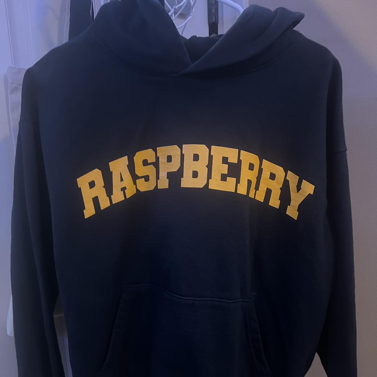 Raspberry Hills gv gallery hoodie size m worn... | Depop
