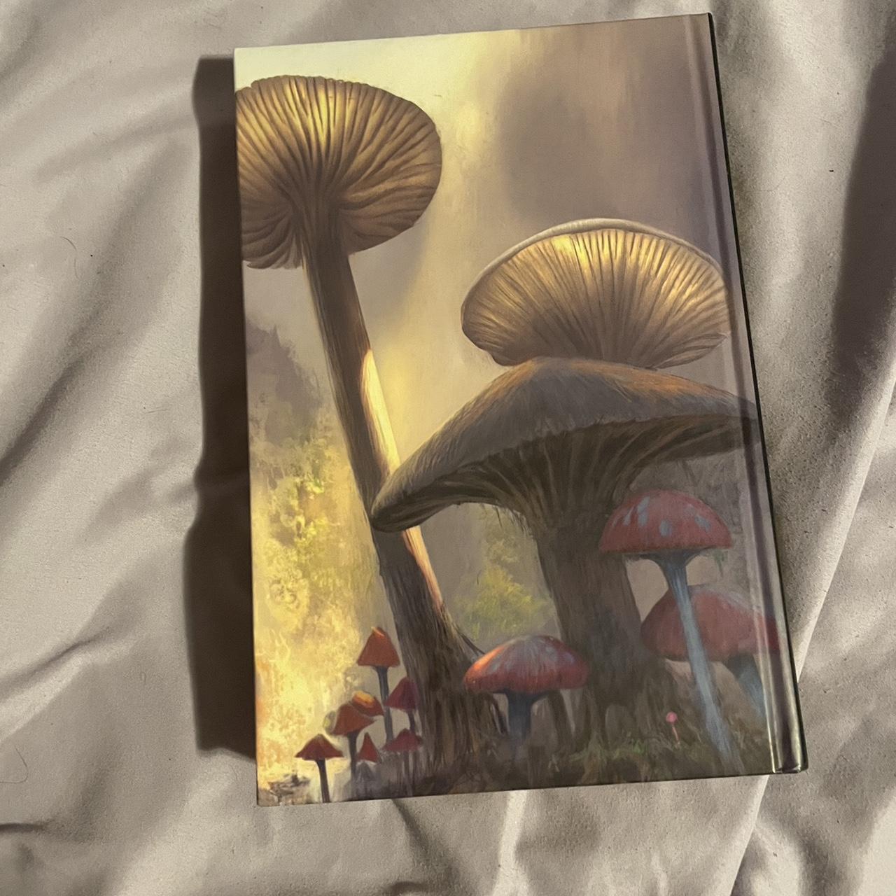 The Looking Glass Wars by Frank Beddor. Part of the... - Depop