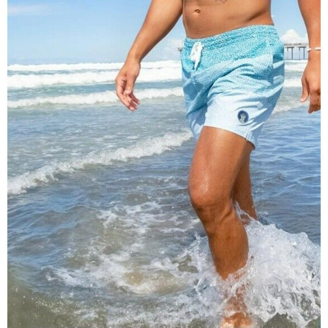 Chubbies The Whale Sharks Board Swim Trunks Mens... - Depop