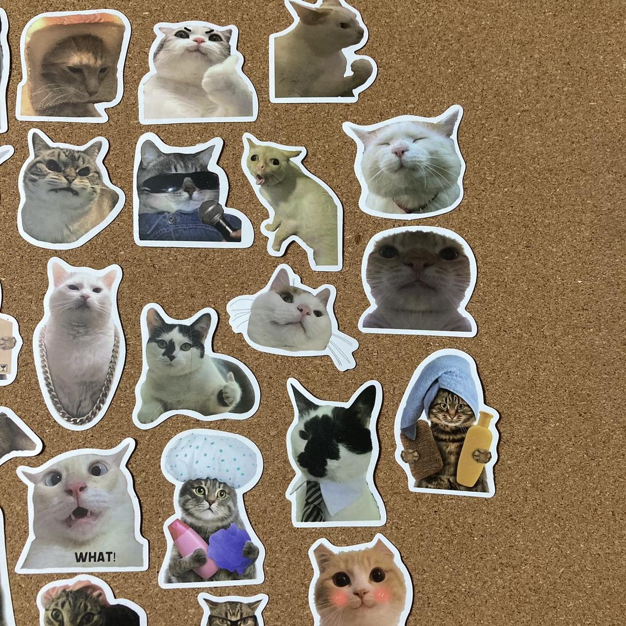 Funny Cat Meme stickers - 40 pack Stickers average... - Depop