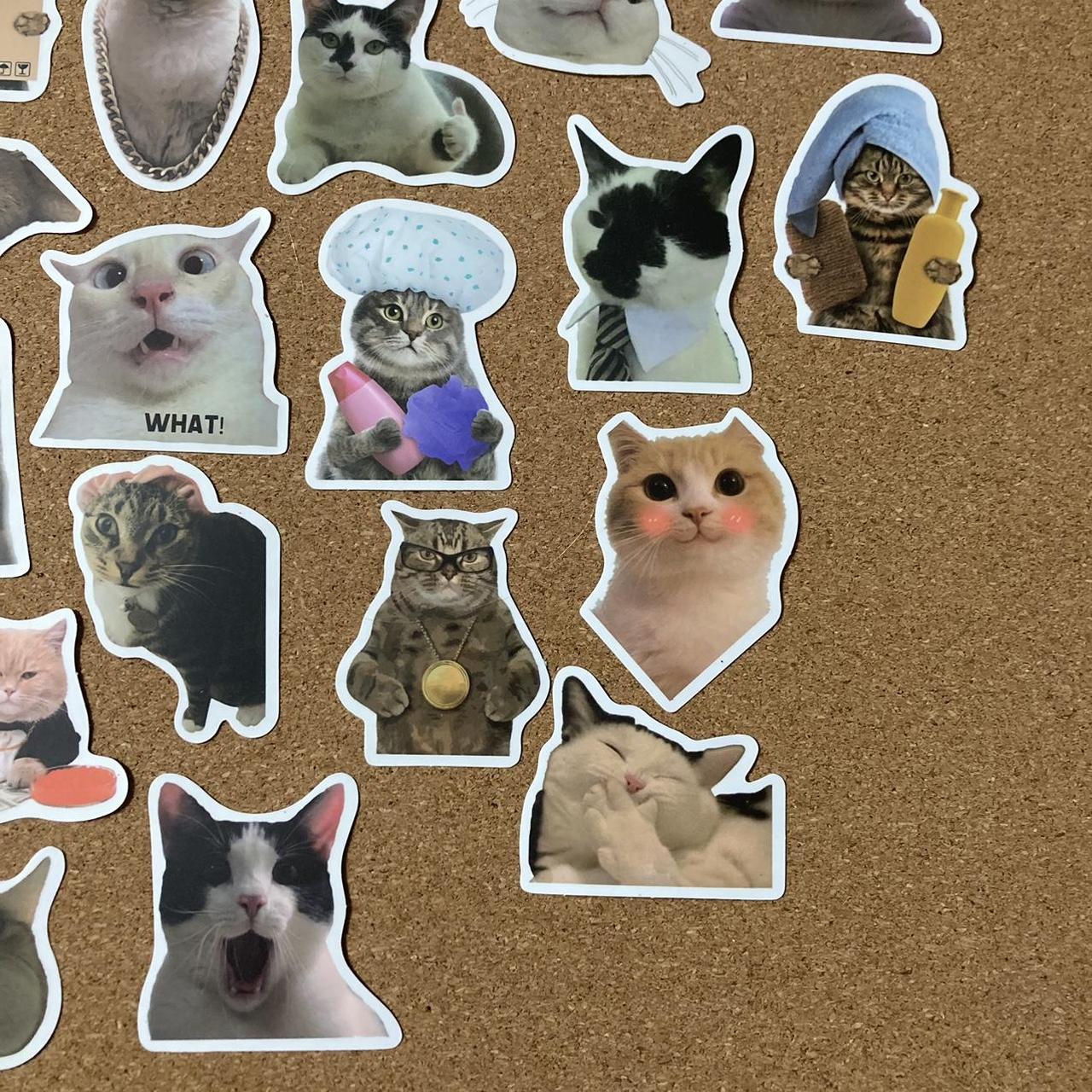 Funny Cat Meme stickers - 40 pack Stickers average... - Depop