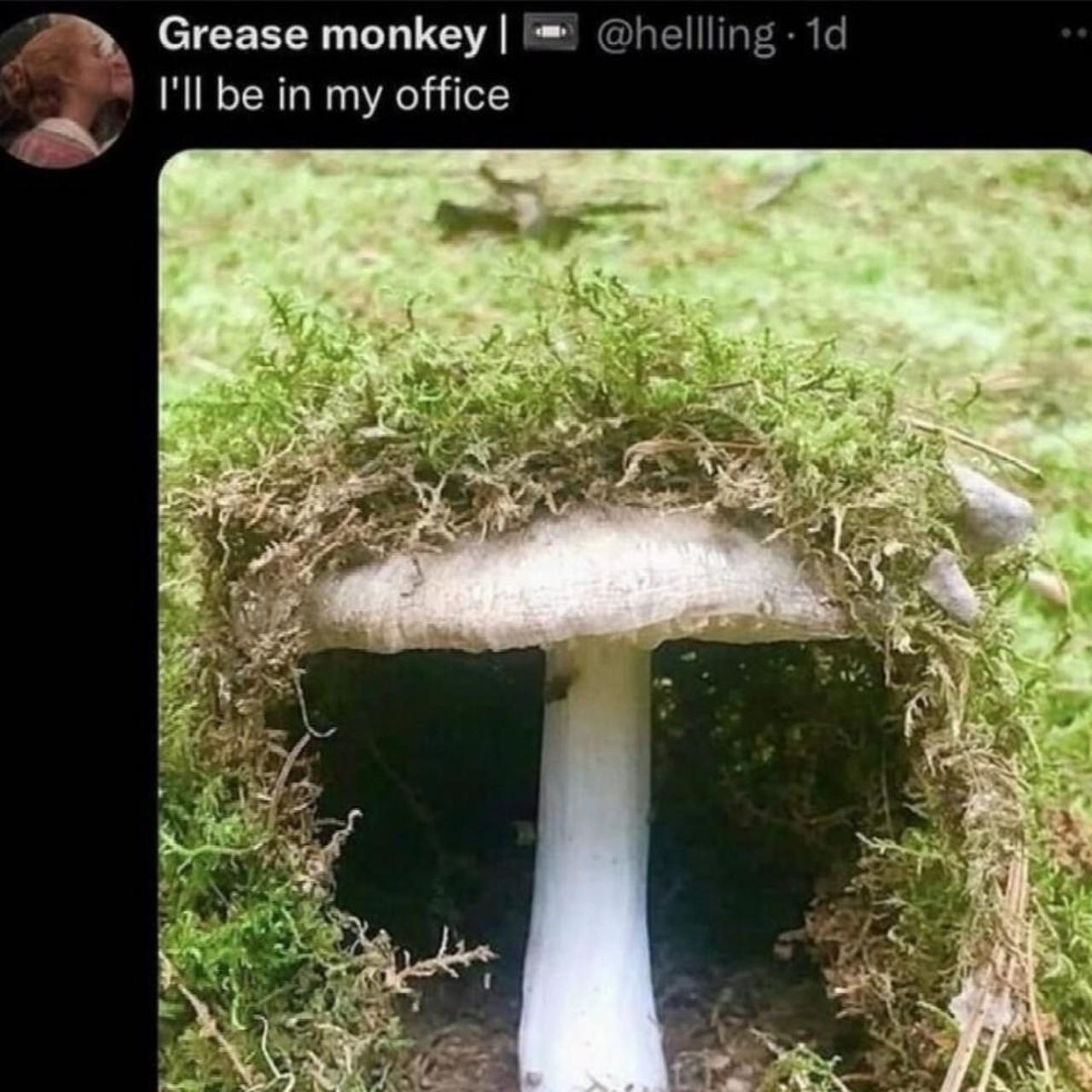 Blind Date With a Book; Cottagecore, Poetry and... | Depop