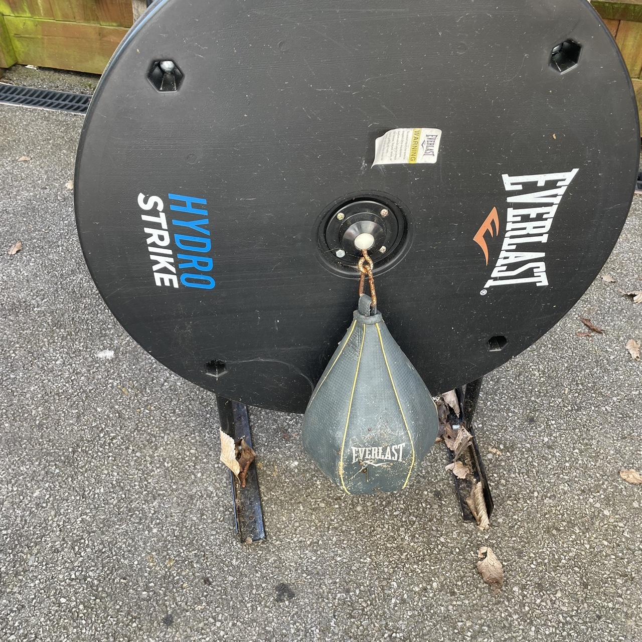 Everlast Speed ball boxing training equipment - Depop