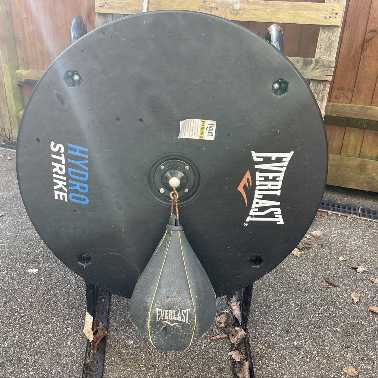 Everlast Speed ball boxing training equipment - Depop