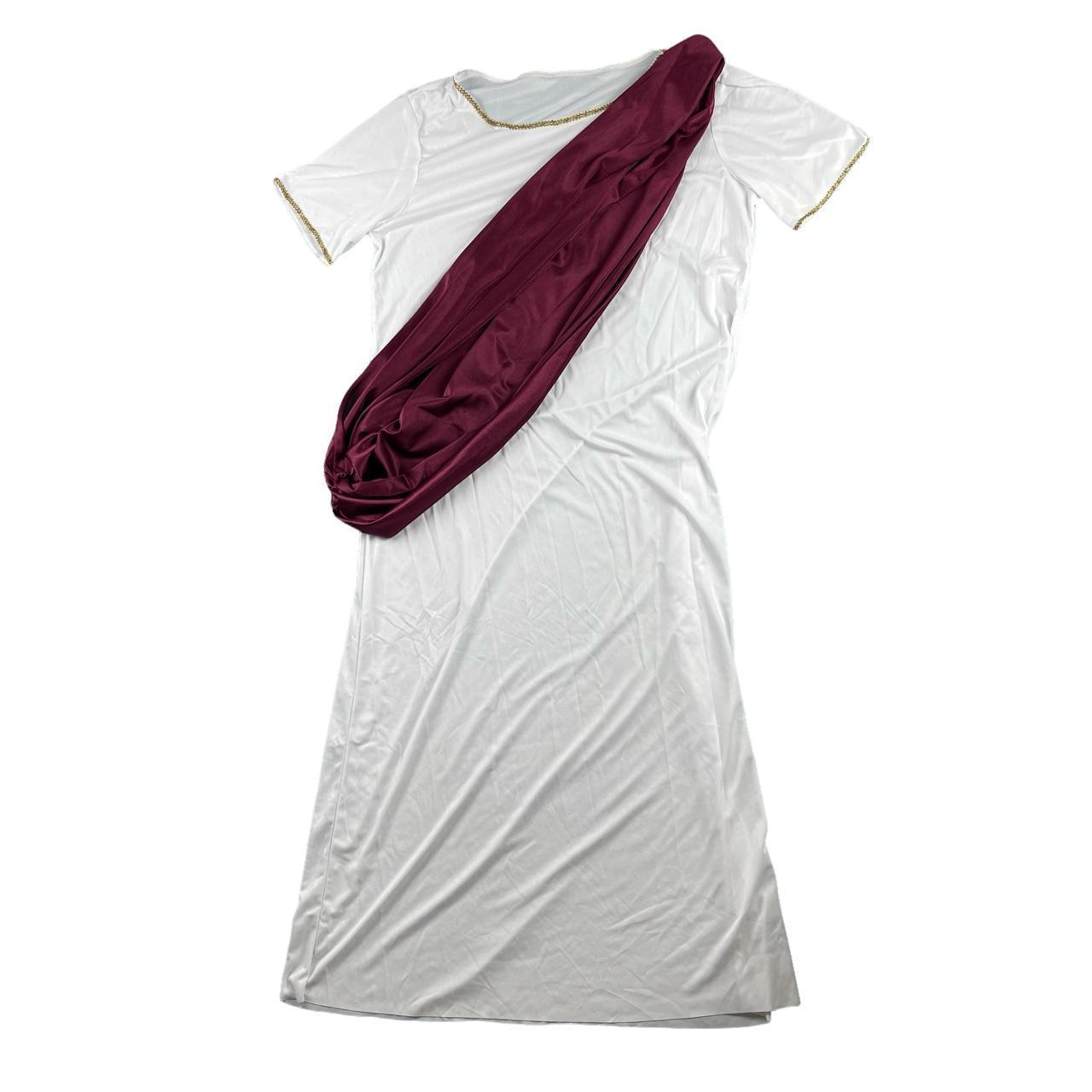 Standard Adult Men’s Caesar Costume. Includes Toga... - Depop