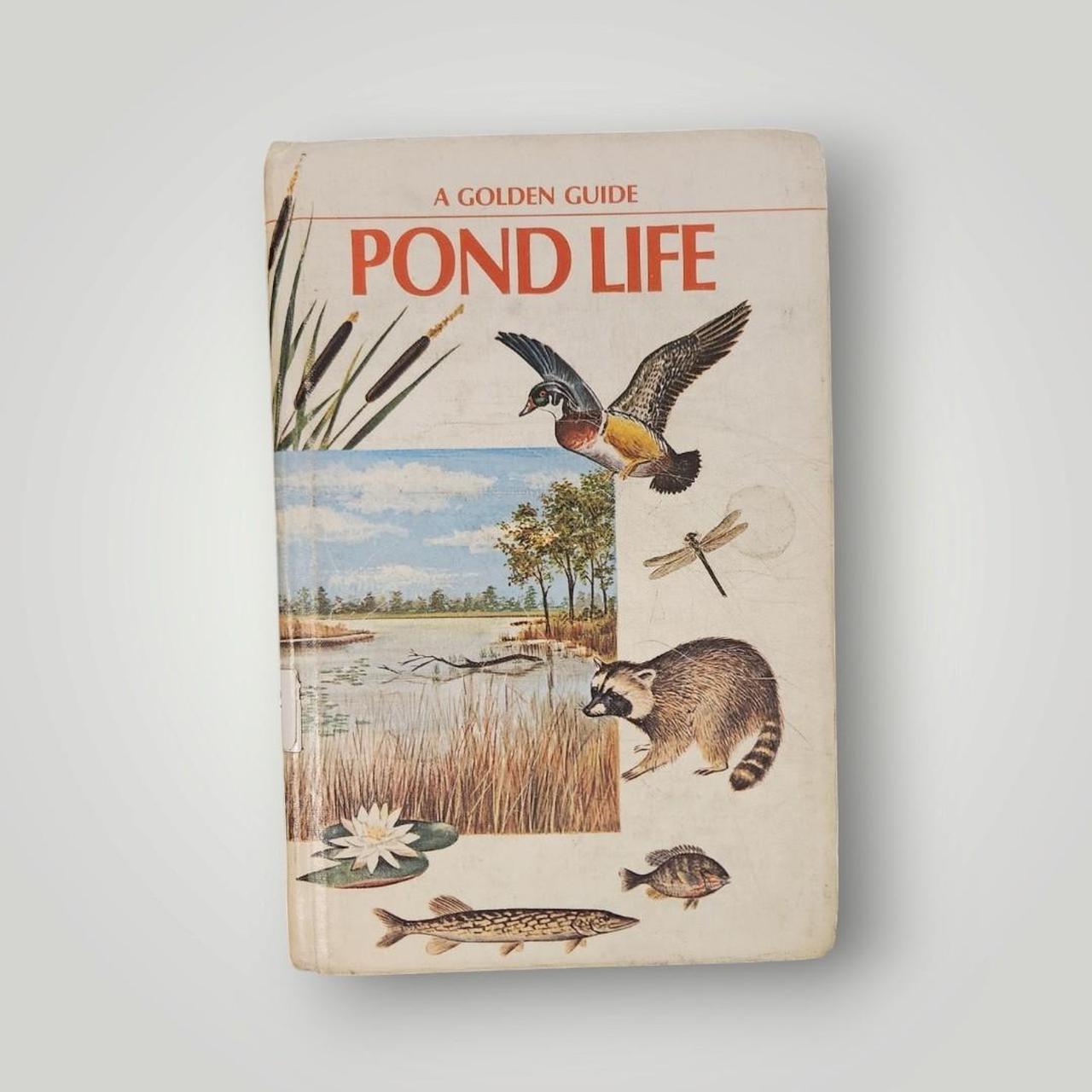 Pond Life Golden Nature Guide 1967 Golden Press... | Depop
