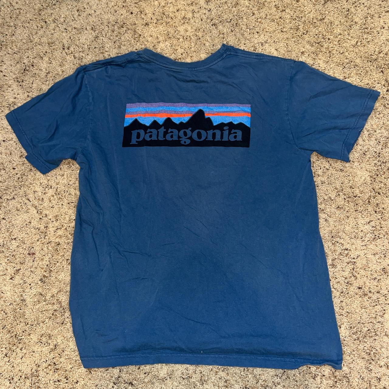 Patagonia back graphic, size L but could fit as a M - Depop