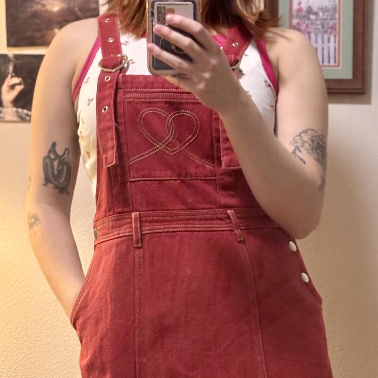 Discontinued cider overall dress. Only worn once for... - Depop