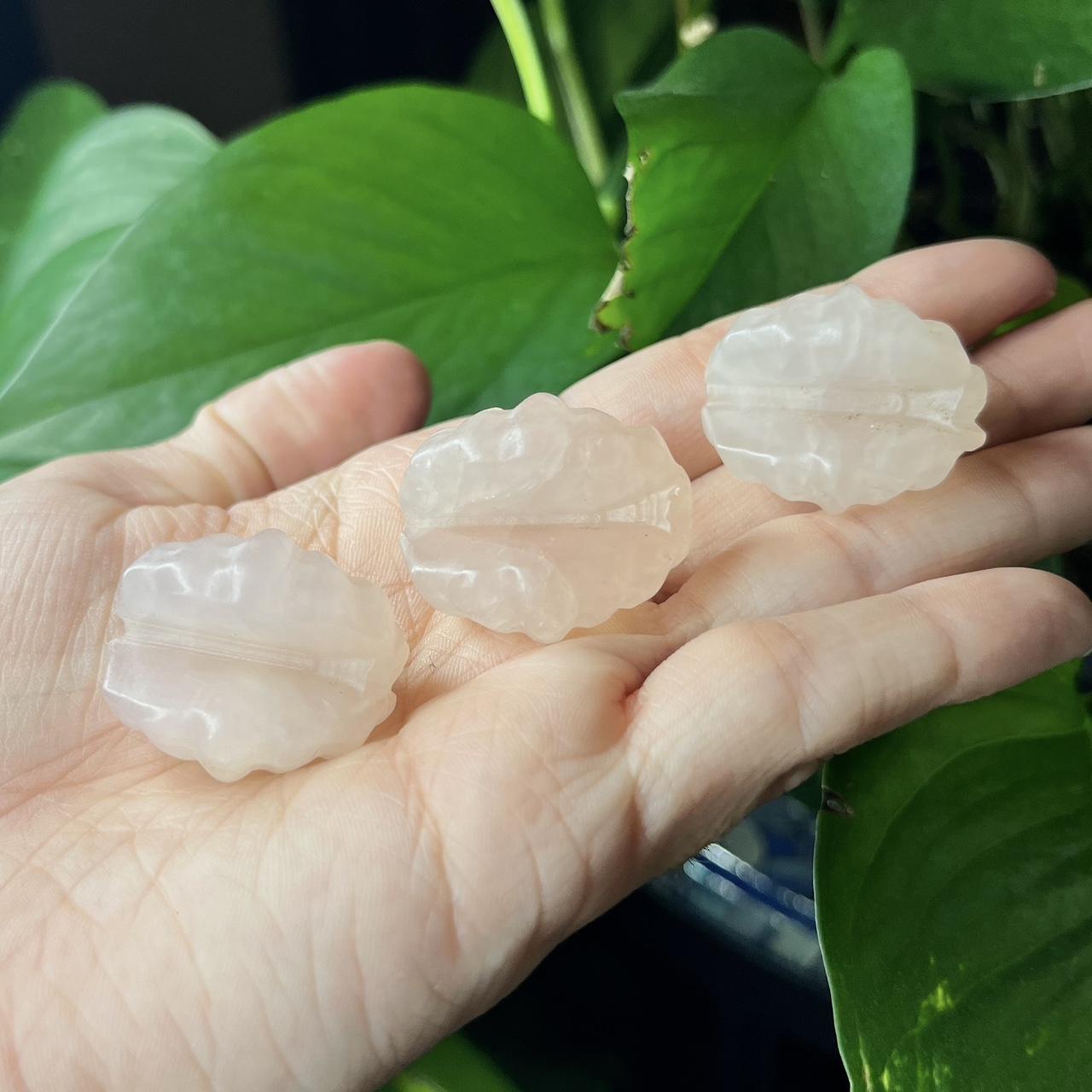 Rose Quartz Clam Shell One Shell Intuitively... - Depop