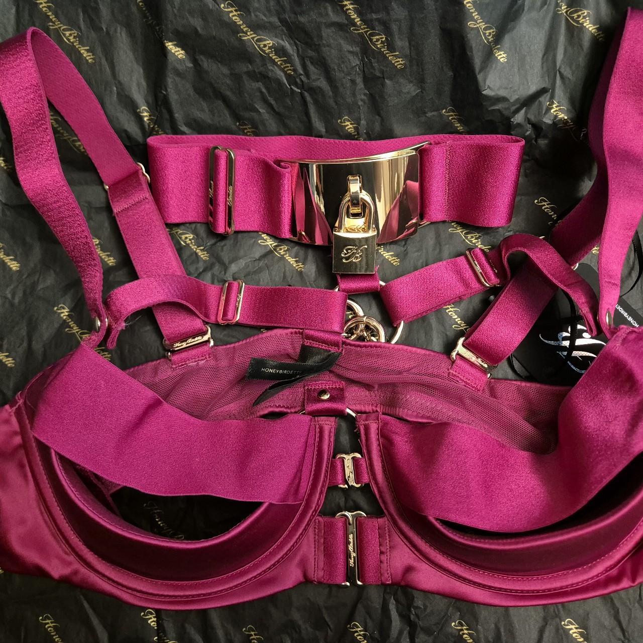Honey Birdette - Chastity Passion BNWT - Brand new... - Depop
