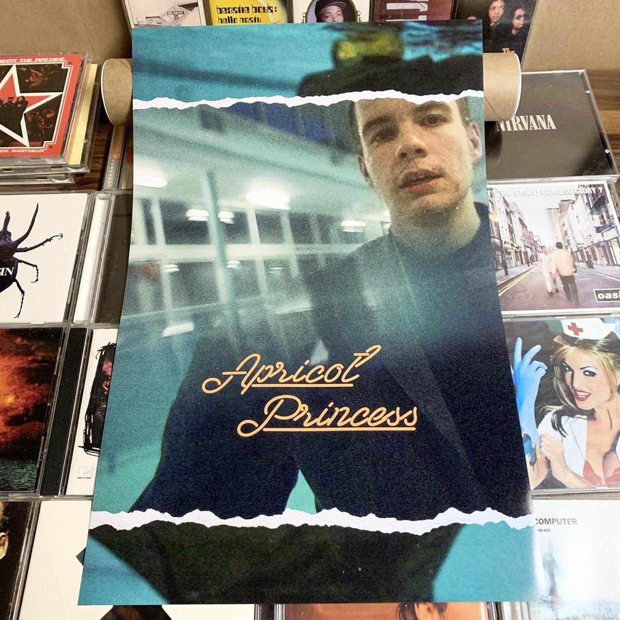 Rex Orange County ‘Apricot Princess’ Poster 11 x 17... - Depop