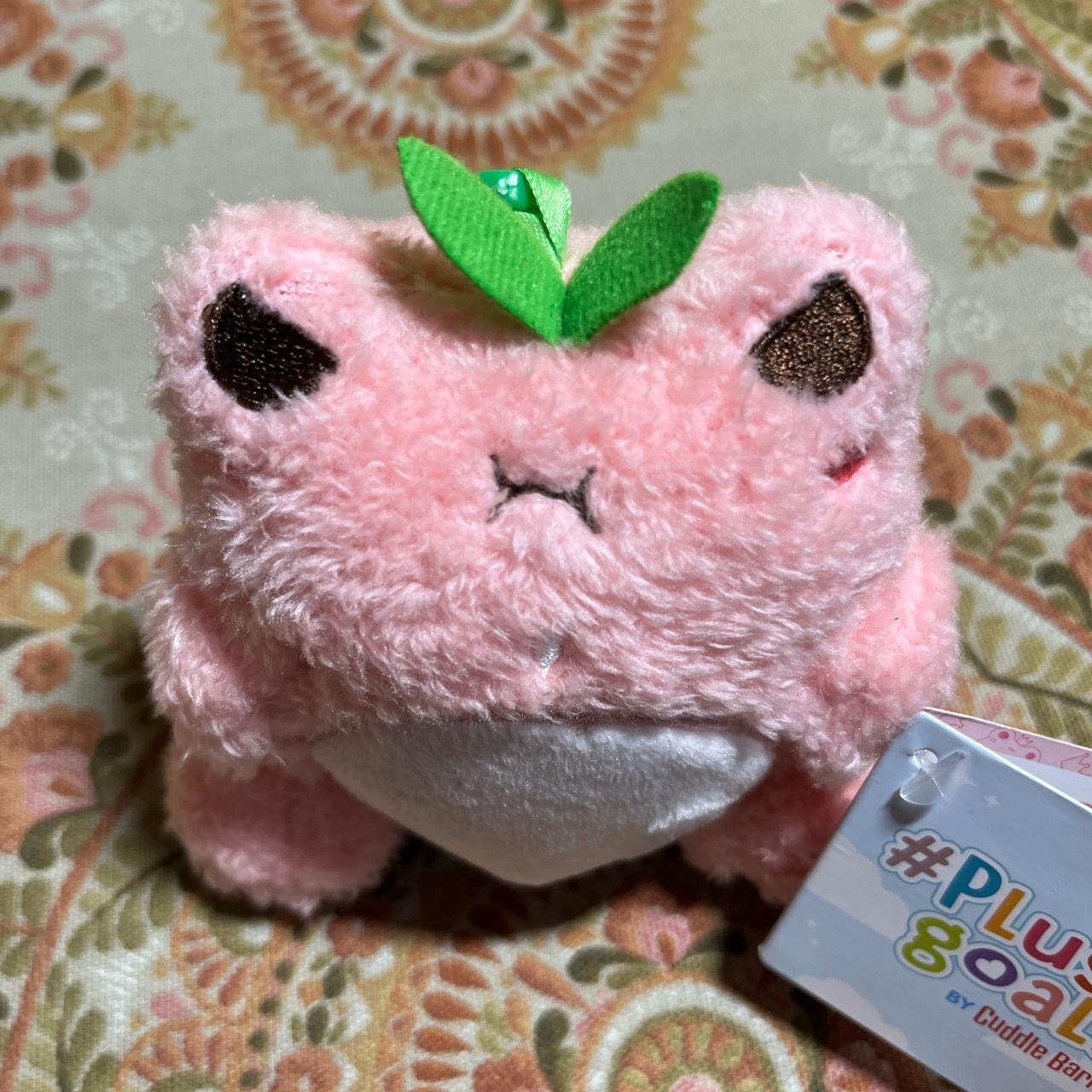 Strawberry frog, pink plushy, keychain - Depop