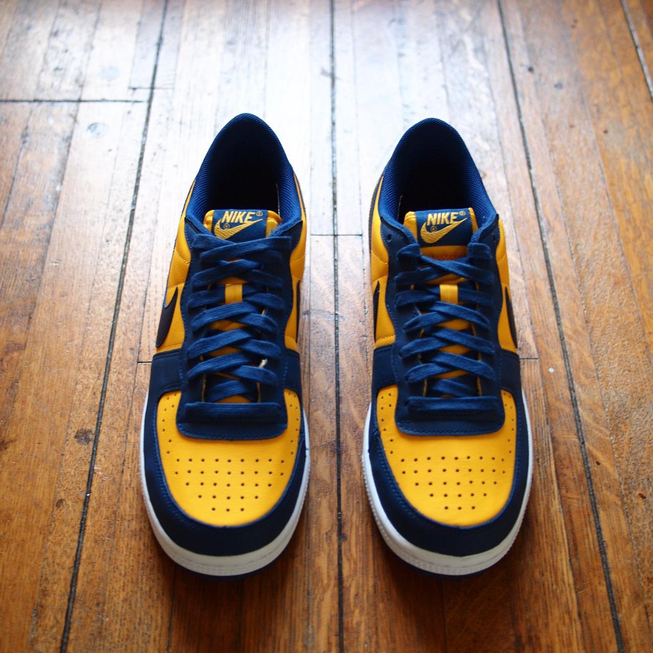 NIKE TERMINATOR LOW MICHIGAN ITEM INFO Size -... | Depop