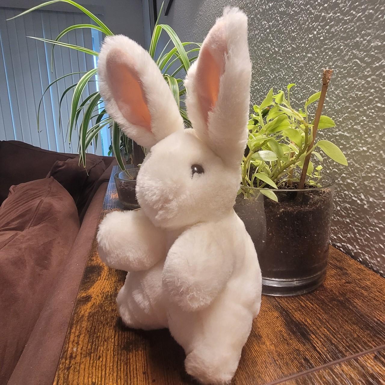 Cute White Bunny/Rabbit With Brown Eyes... - Depop