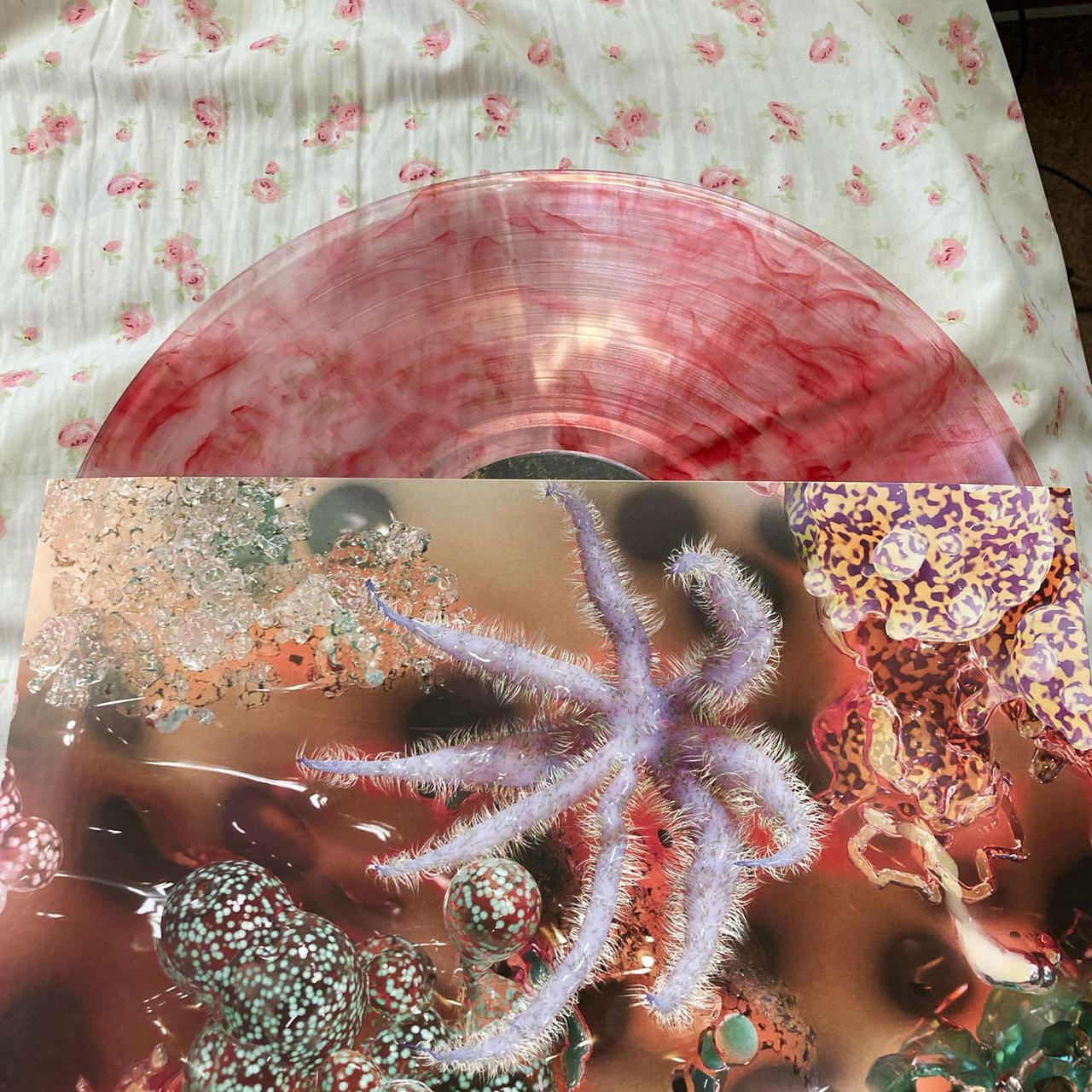 melanie martinez portals vinyl record limited... - Depop