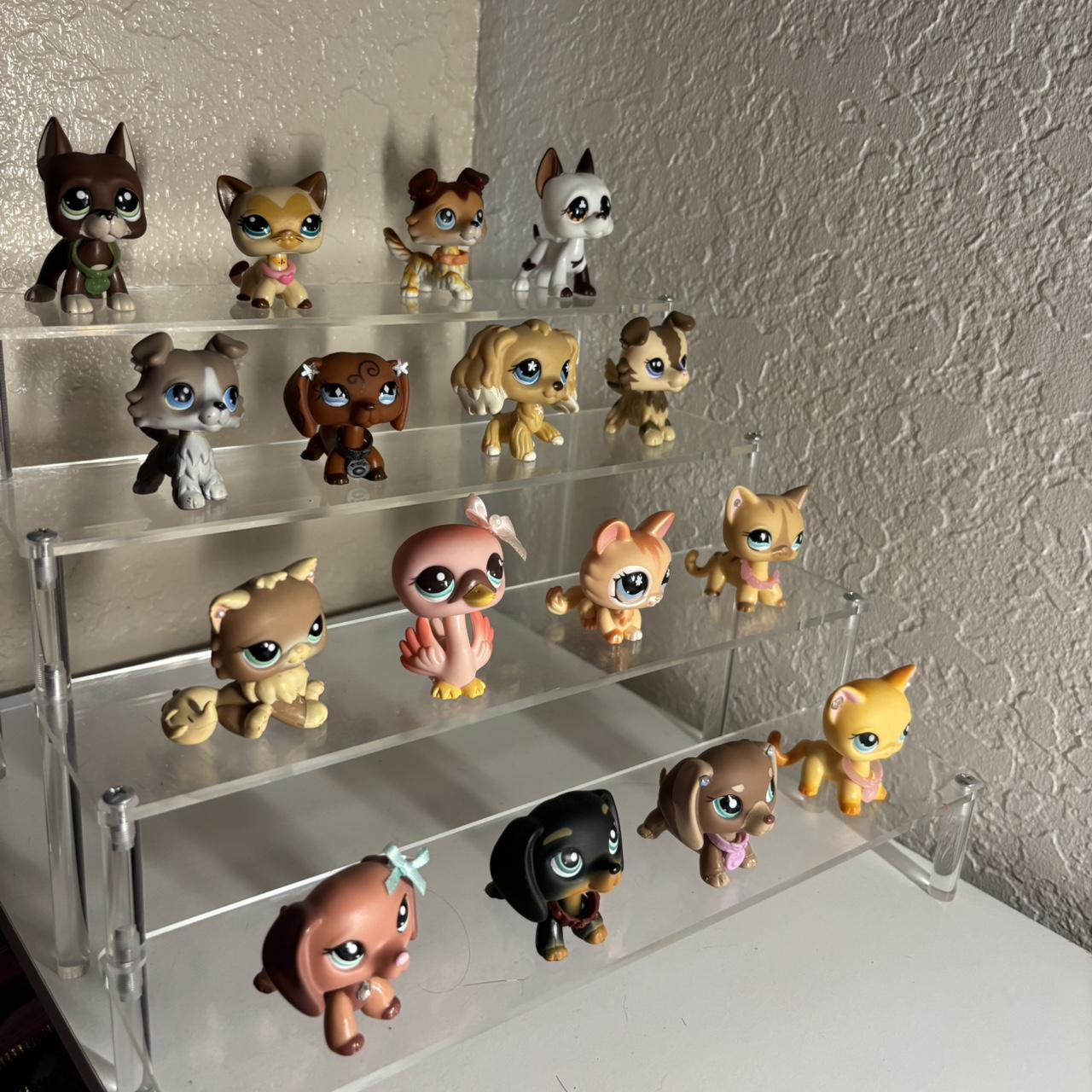 Littlest Pet Shop display shelf for 14-16 pets (LPS... | Depop