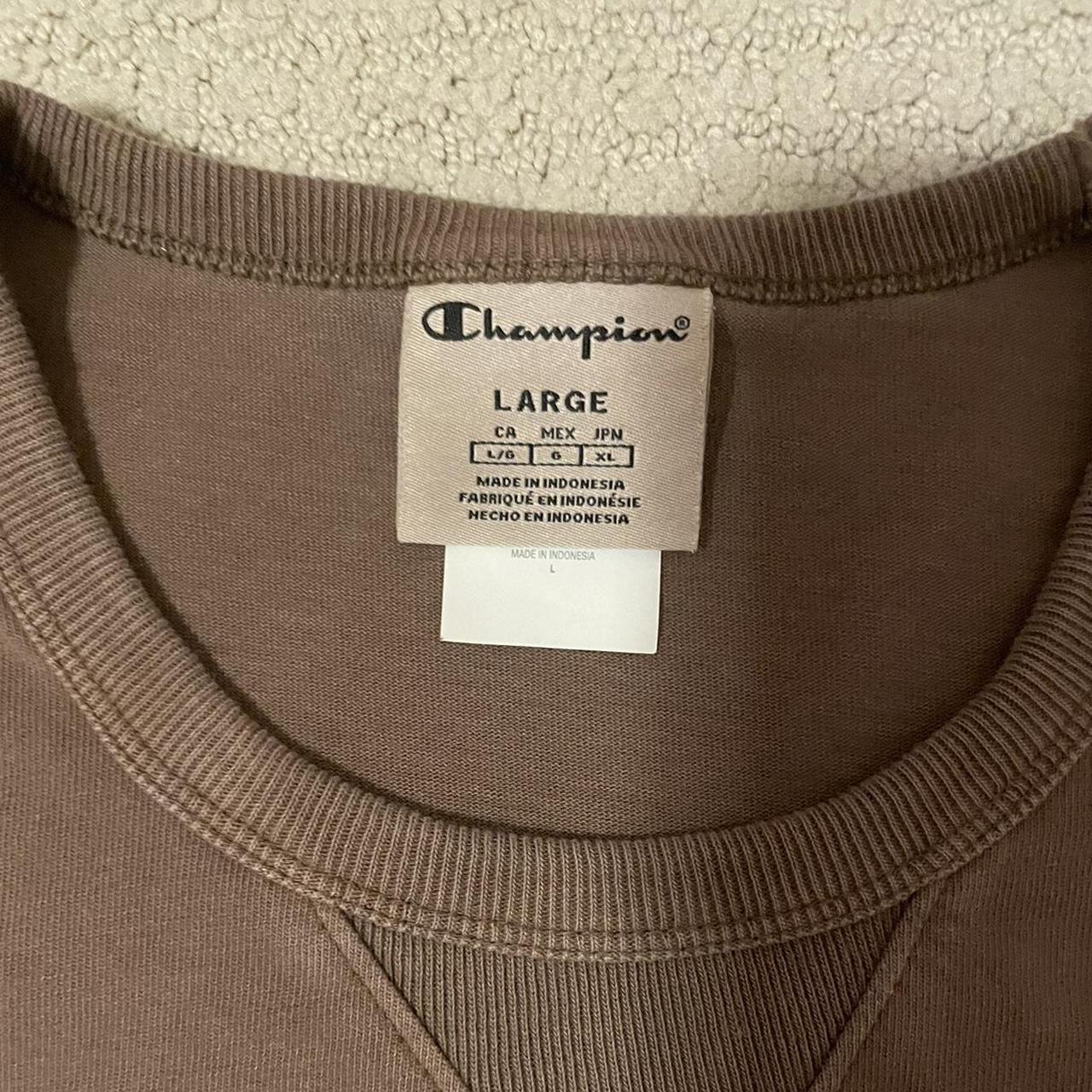 brown urban outfitters champion t shirt. tagged... - Depop