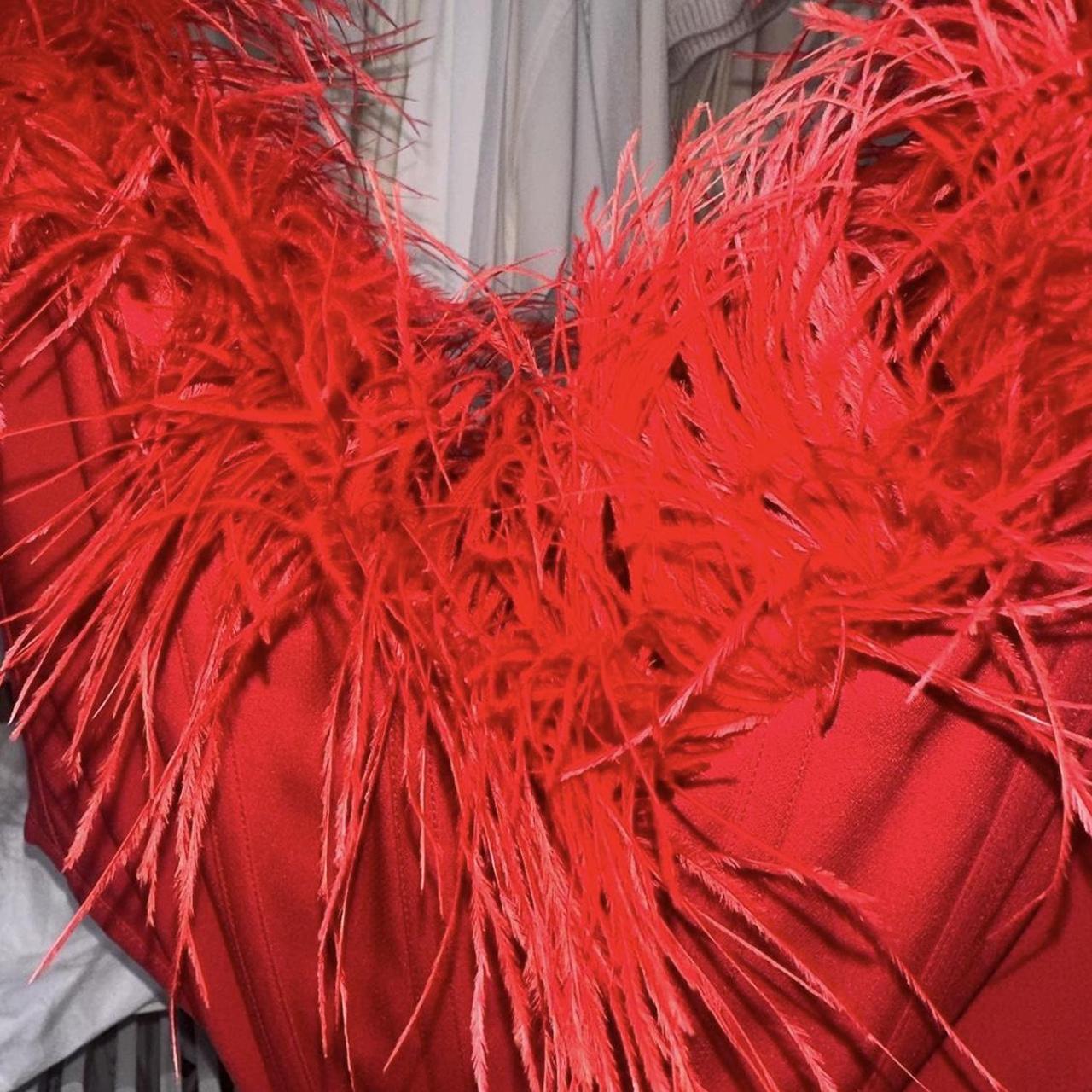 Miss circle Red feather top New Size:... | Depop