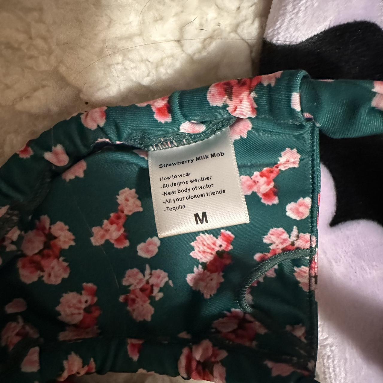 strawberry milk mob gecko bikini set. small bottom,... | Depop