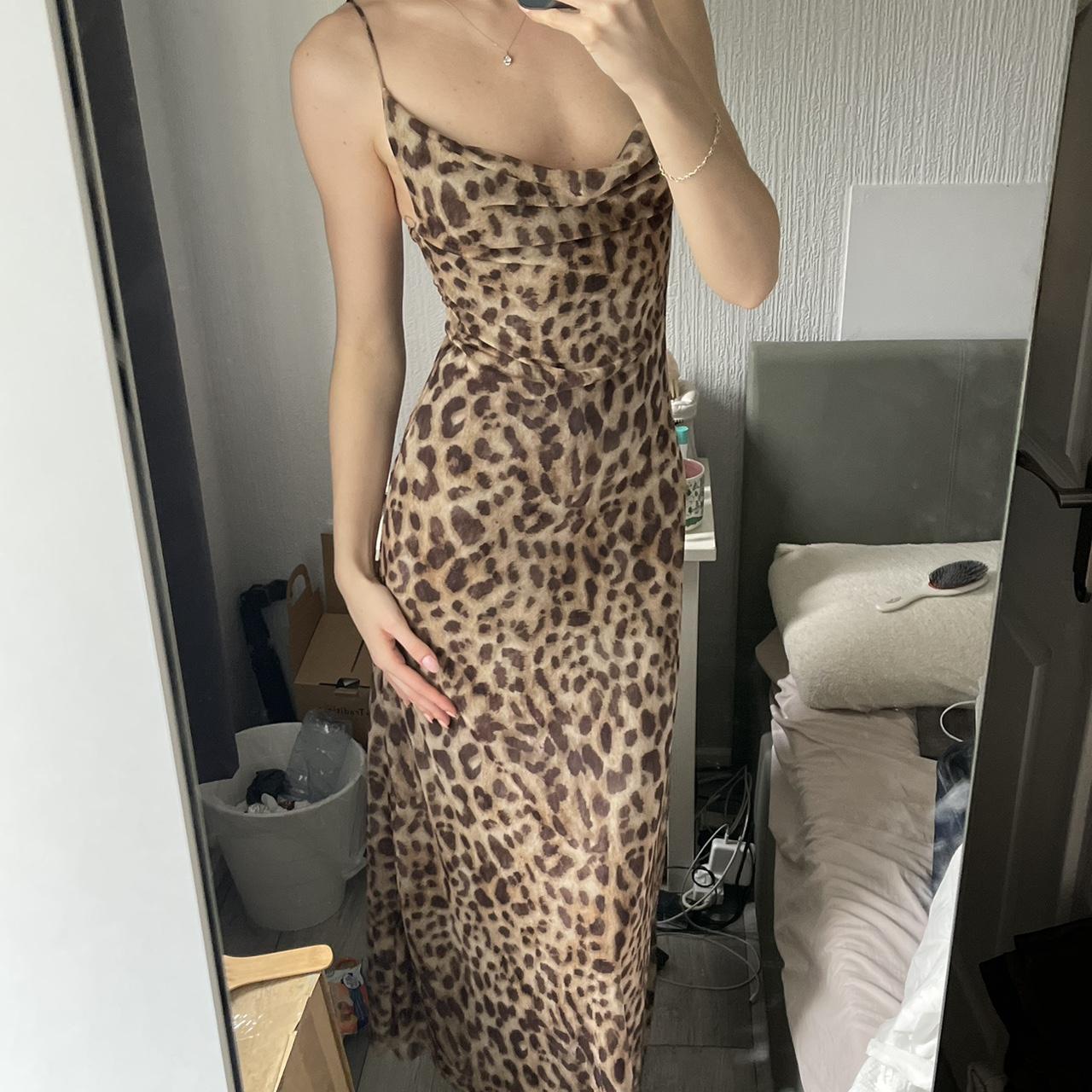 Zara leopard print tulle maxi dress sizes S & M... - Depop