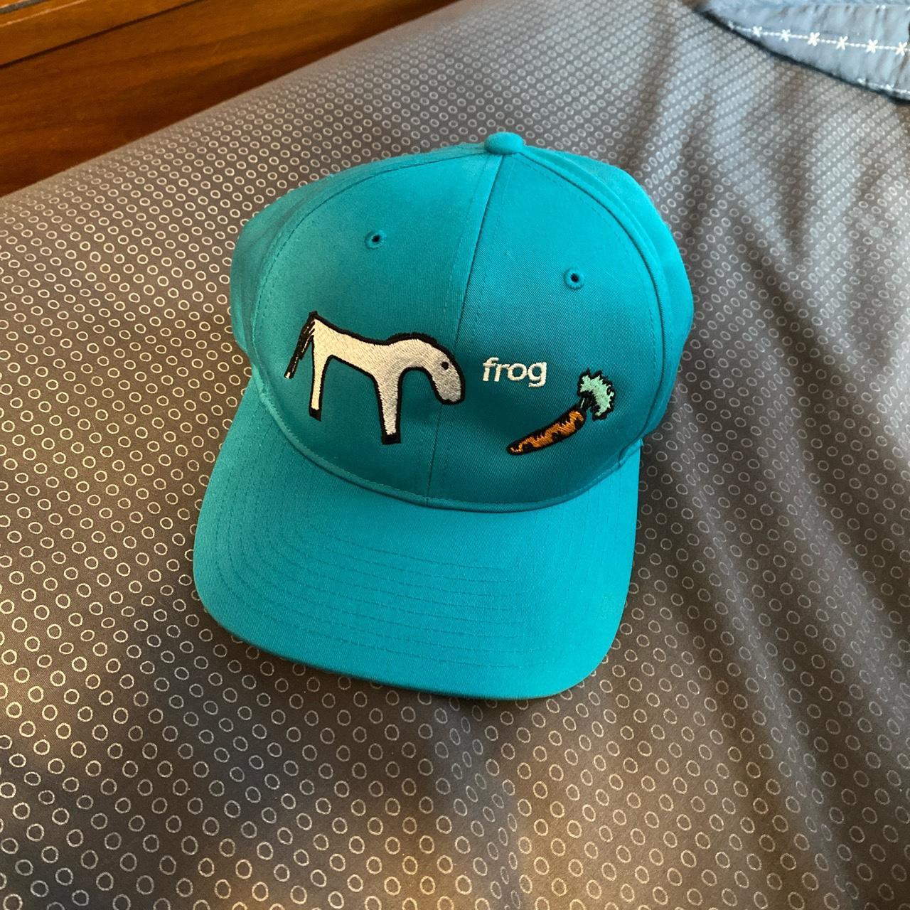 Dope frog skateboards ball cap Great condition... - Depop