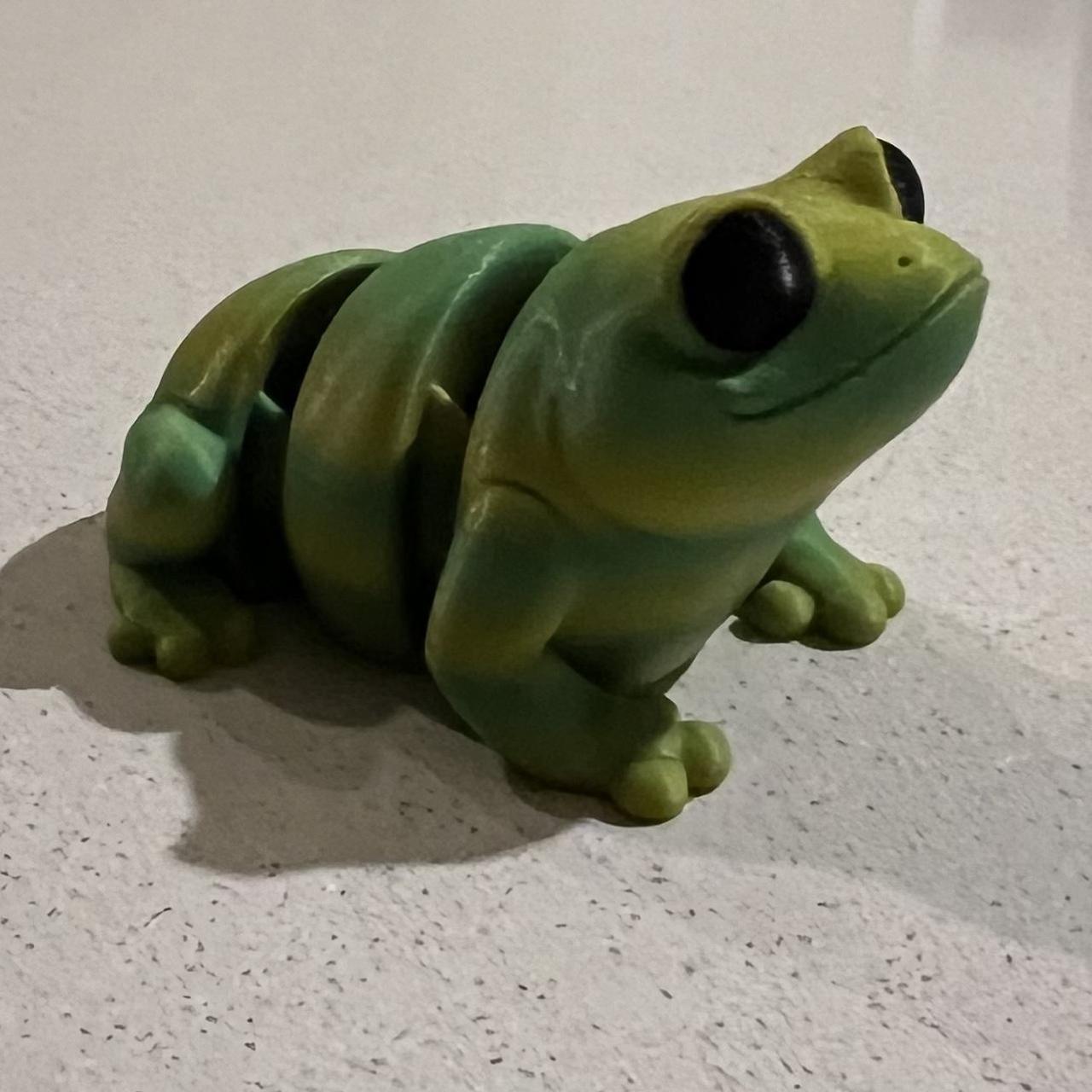 3D Printed Articulated Fidget Frog Frog Fidget... - Depop