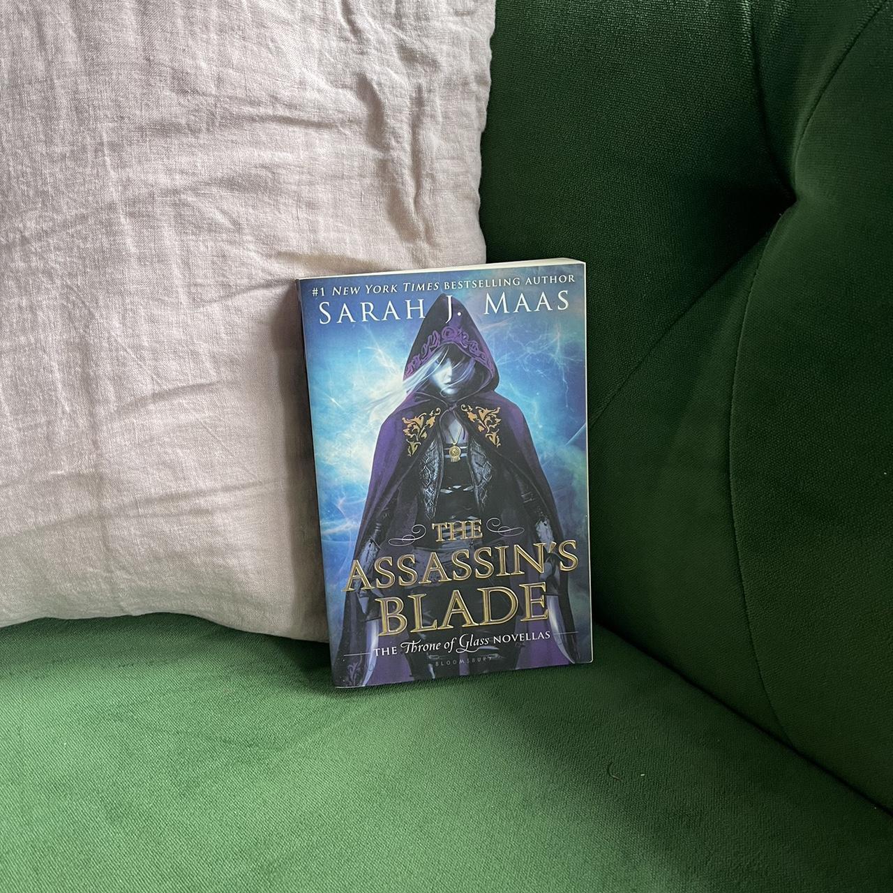 Original “Barbie” cover THE ASSASIN’S BLADE by Sarah... - Depop