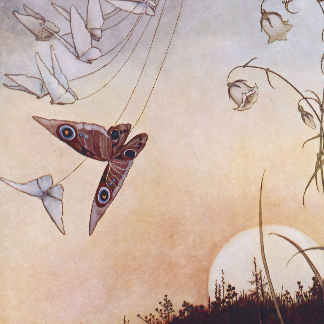 "The Queen of The Butterflies" Artist: Ida Rentoul... - Depop