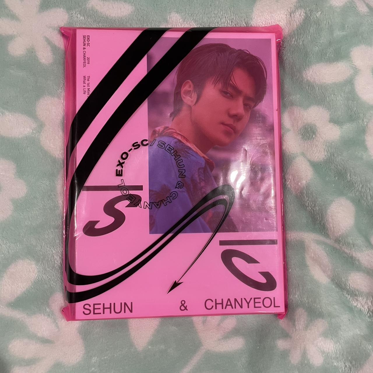 Exo-sc what a life album everything in the photo is... - Depop