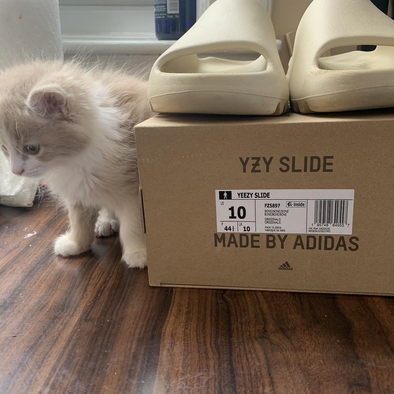 Yeezy slides bone restocked! Size 10 #kanye #ye... - Depop