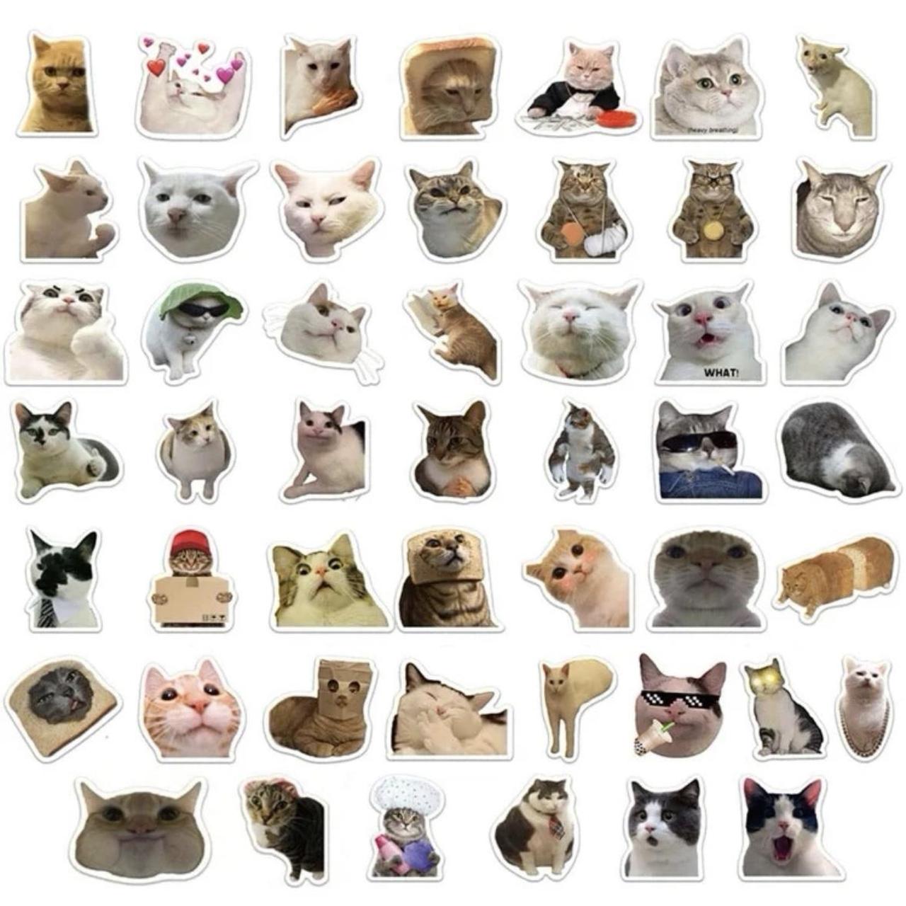 49 cat meme stickers. Around 2.4 X 1.6 inches per... - Depop