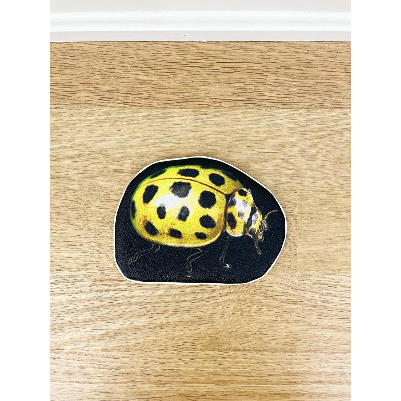 Undercover AW16 Ladybug Pouch Perfect for your... - Depop