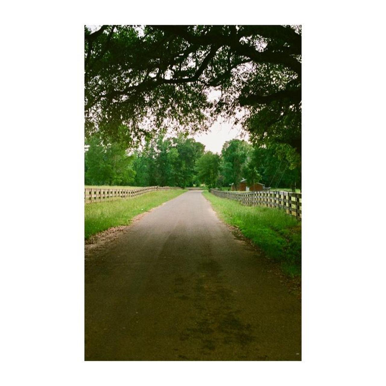 Sears KS500 | 35mm SLR Film Camera | Black This... - Depop