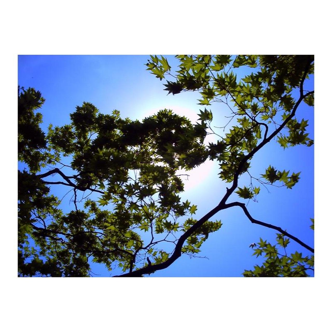 Polaroid a544 | 5MP Digital camera w/ SD card |... - Depop