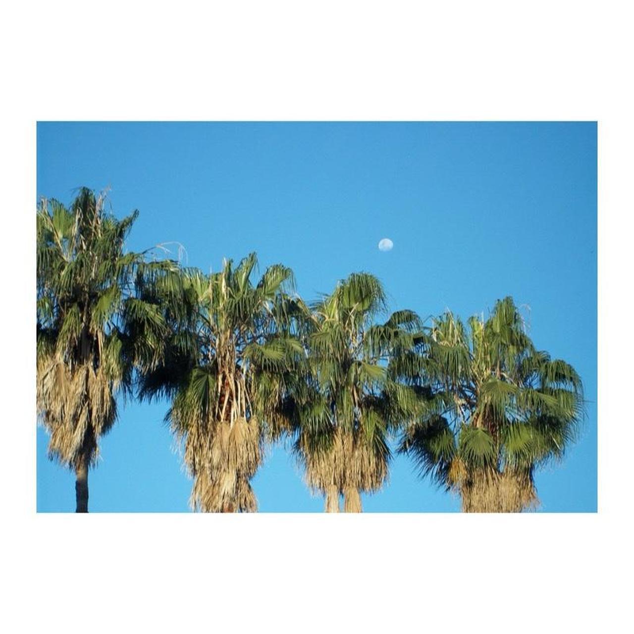 Kodak EasyShare M530 | 12MP Digital camera with SD... - Depop