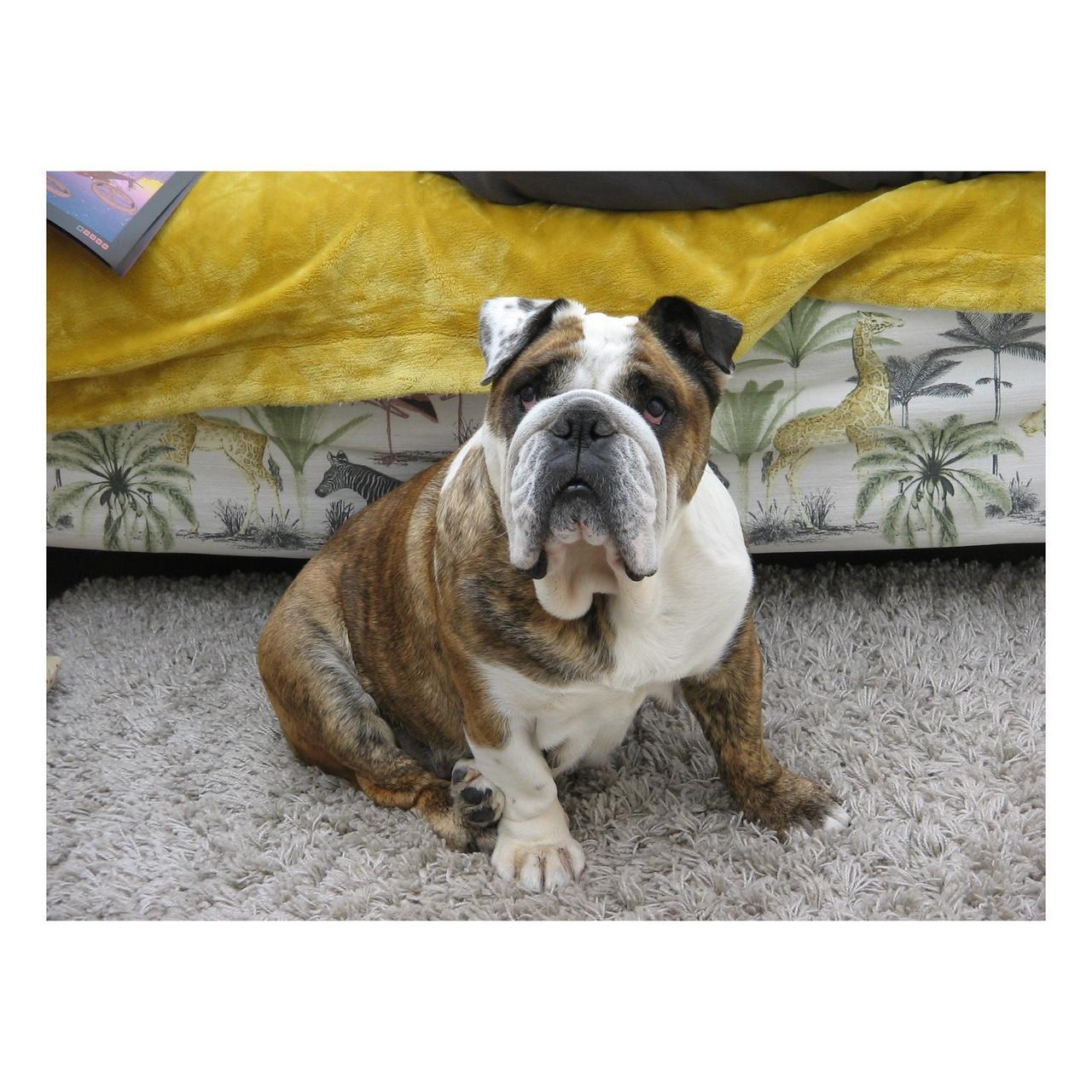 Canon Powershot A400 Digital Camera | 3.2MP | Tested... | Depop