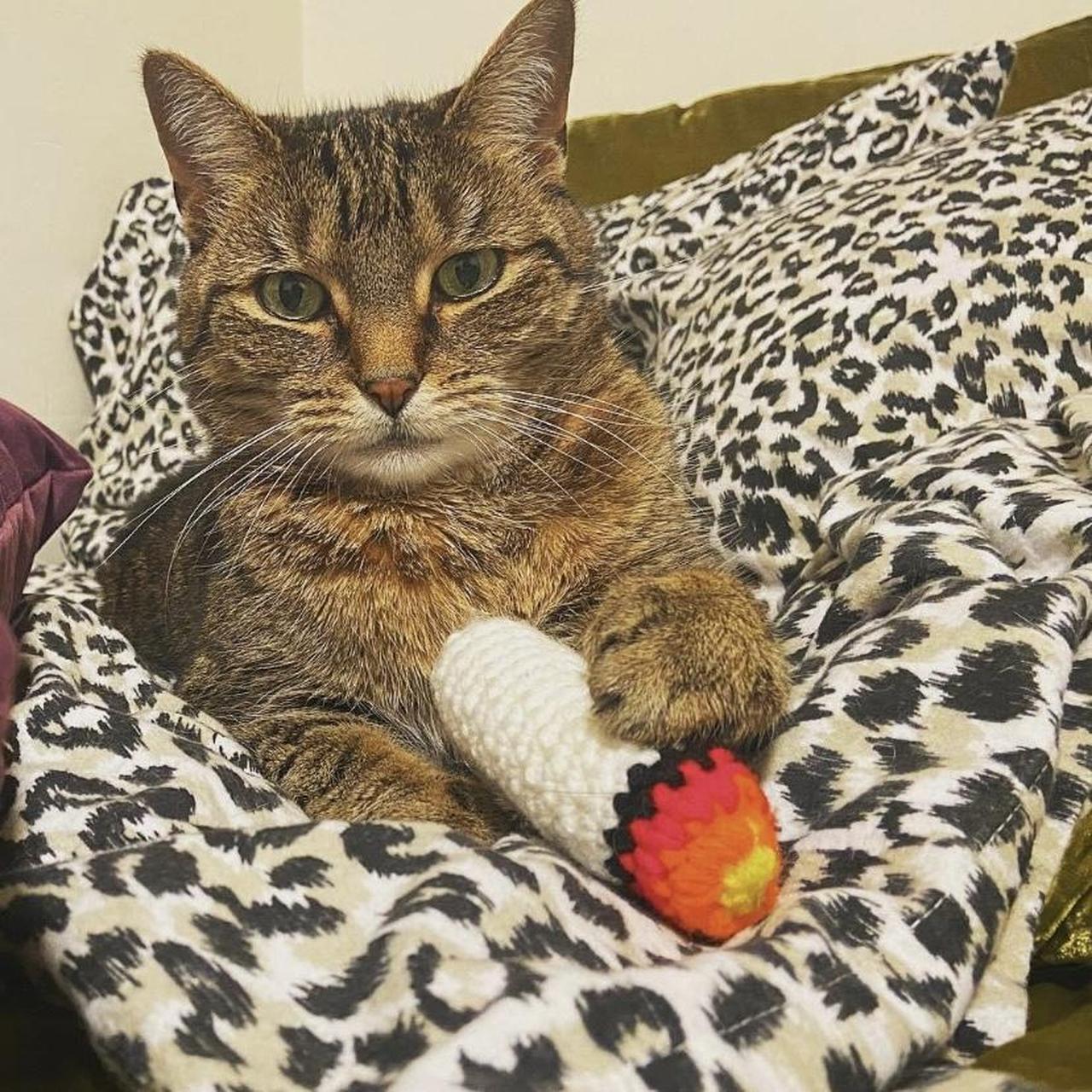 Crochet White Lit Tip Doobie Cat toy with catnip... - Depop